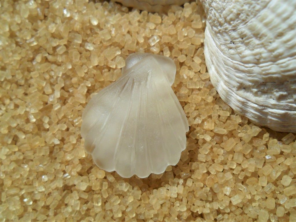 Shell - Scottish Sea Glass